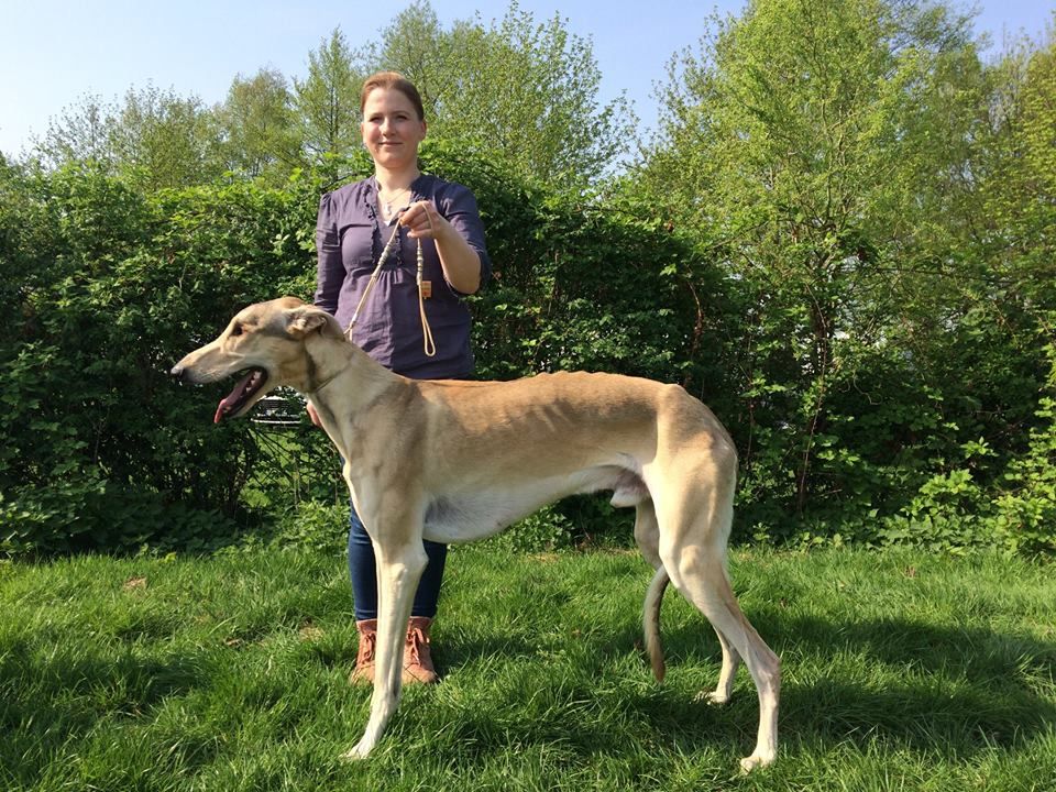 Chart Polski - The Breed Archive